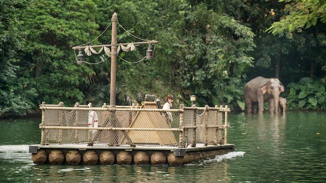 Rafts to Tarzan's Treehouse | Hong Kong Disneyland Resort